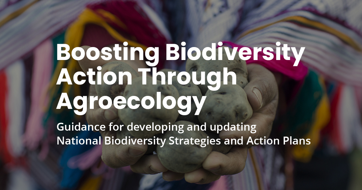 Boosting Biodiversity Action Through Agroecology